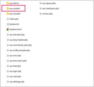 WordPress の function.php ってどこにあるの？function.php のある場所を紹介します | Tanweb