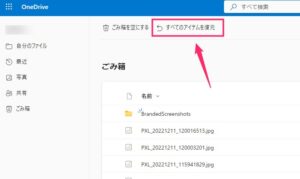 誤って OneDrive から削除してしまったファイルを復元復旧する方法【PC を使った手順】 | Tanweb